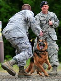 Solutions - I2 Security Group